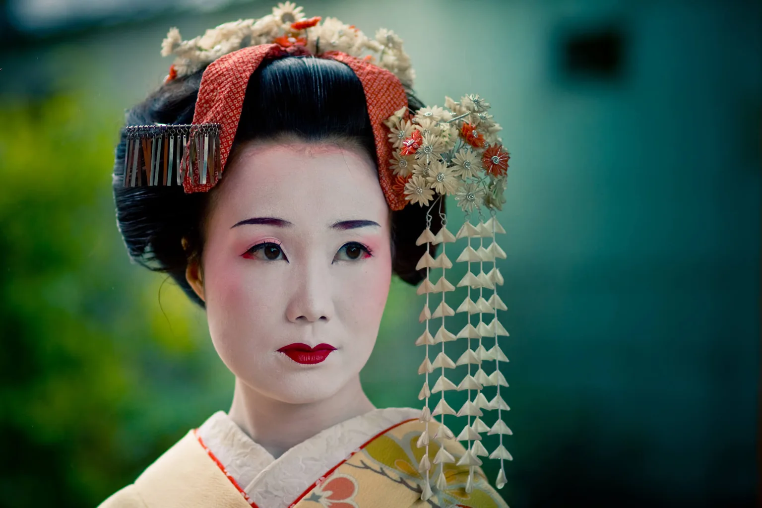 Geisha Girl: Facts & Secrets of the Japanese Geisha | WHO