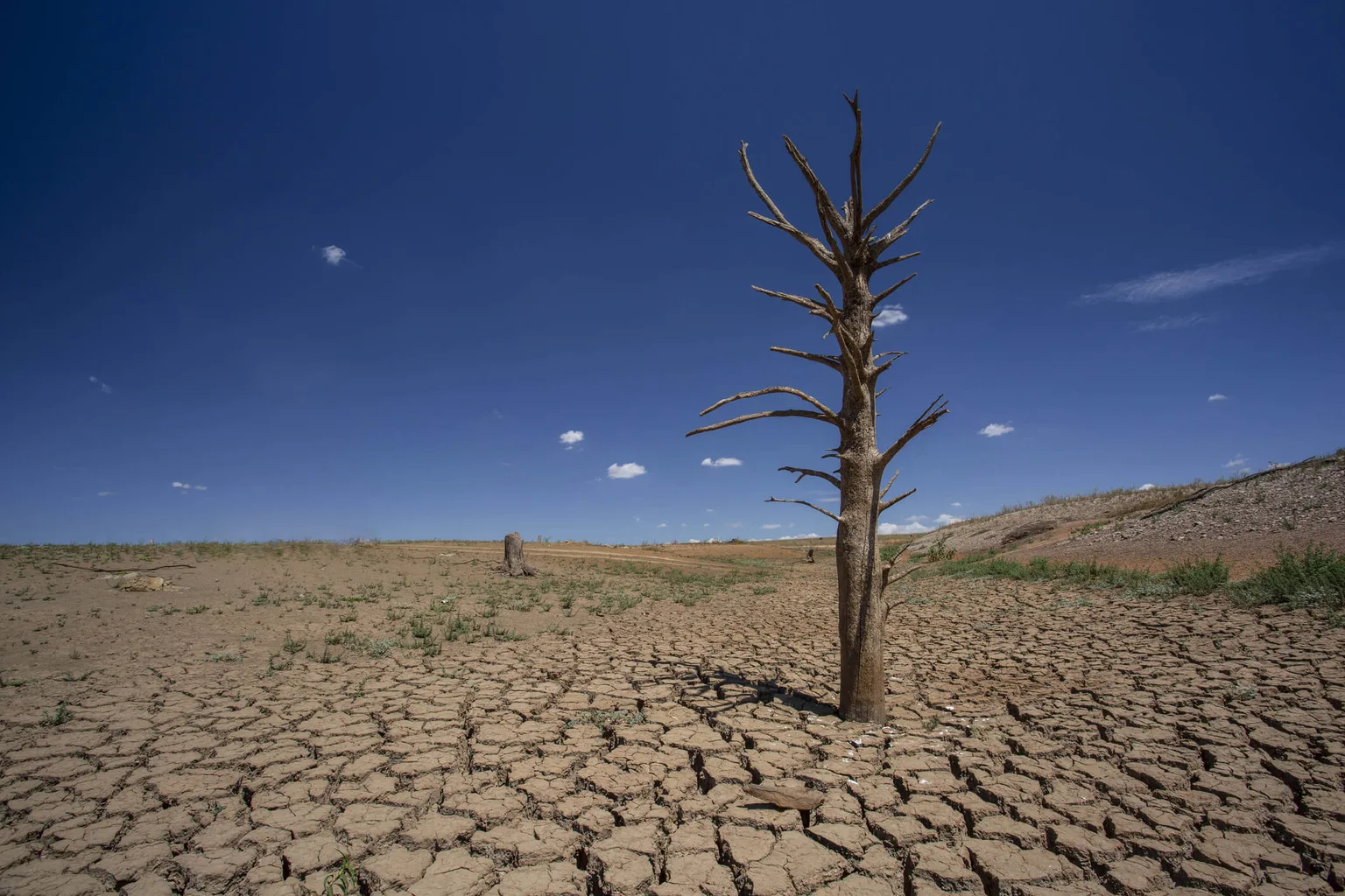 Hottest Day In Australia: What Is The Highest Recorded Temperature? | WHO