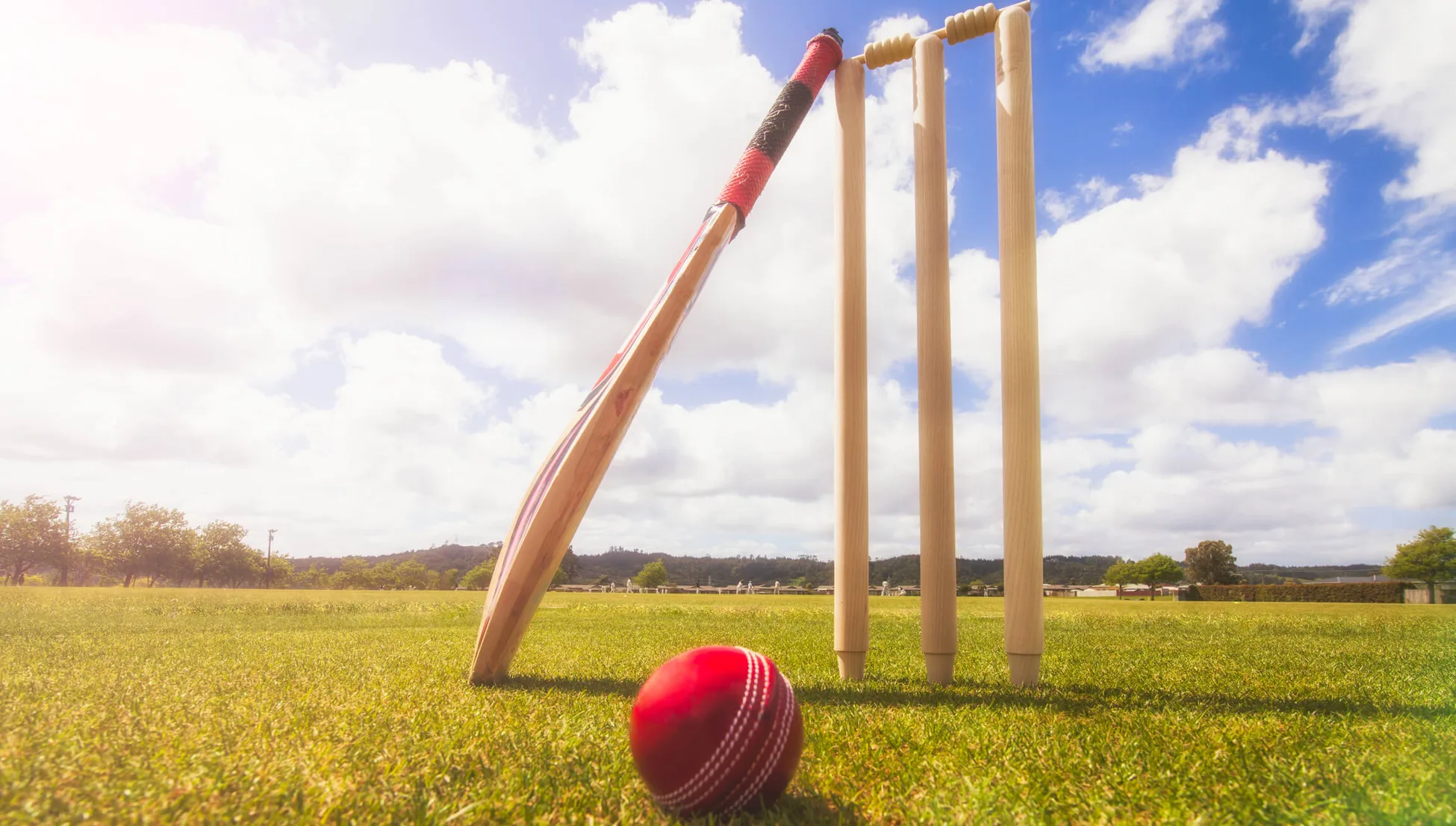 Cricketer Georgia Wareham is appealing for more than just wickets - WHO