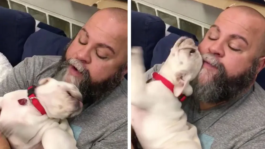 SVU costumer Josh Wallwork plays with puppy on set - WHO