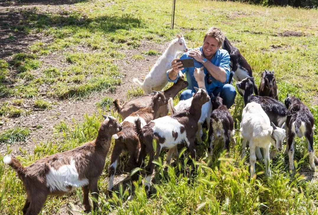 Renowned Aussie chef Curtis Stone dishes on his new travel TV series ...