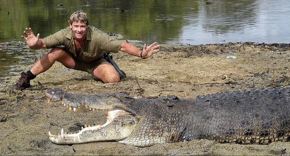 Steve Irwin Stingray Attack: How Did He Die? | WHO