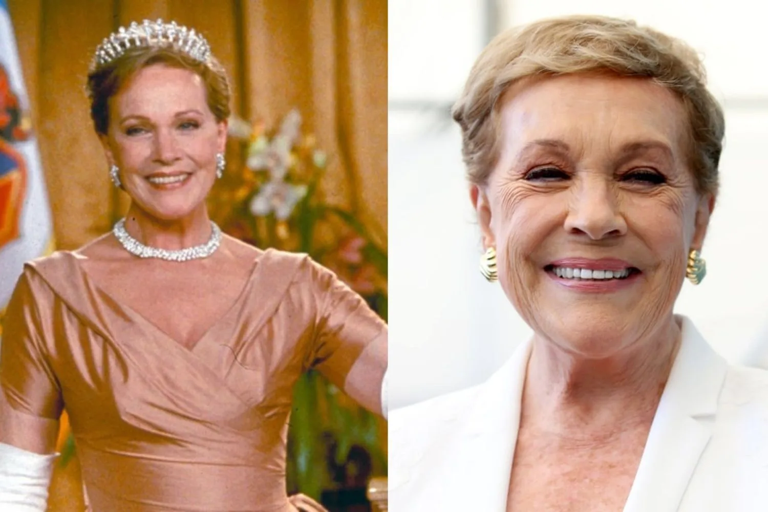Princess Diaries: Where are the stars 23 years on? | WHO