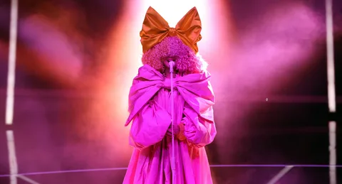 Why Does Sia Cover Her Face? | WHO