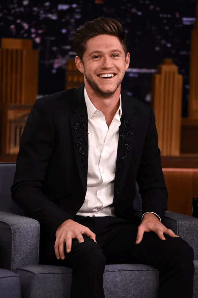 One Direction Reunion: Everything Harry, Niall, Zayn, Louis and Liam ...