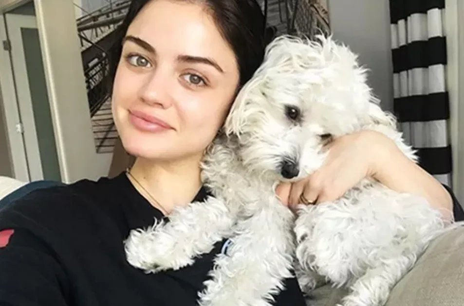 Women prefer sleeping with their dogs over partner | Girlfriend