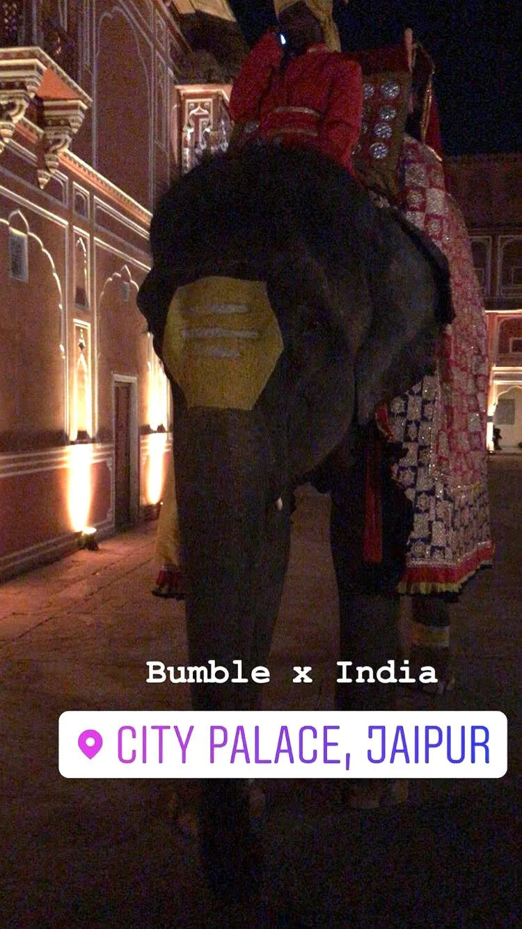 Bumble face backlash from abusive Elephant ad campaign | Girlfriend