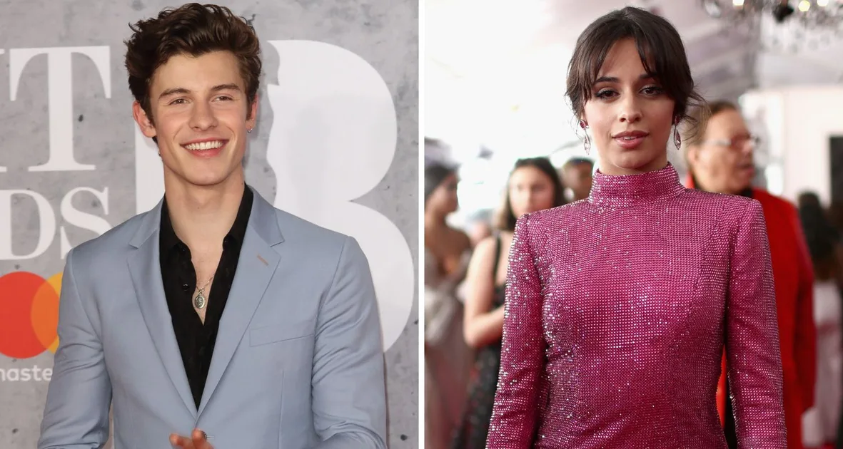 Shawn Mendes and Camilo Cabello spotted holding hands amid Matthew ...
