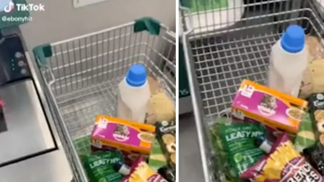 Shopping trolley hack at Woolworths Self-serve checkout goes viral ...