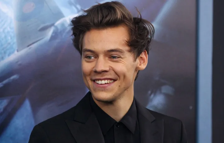 Harry Styles Stranger Things Doppelganger | Girlfriend