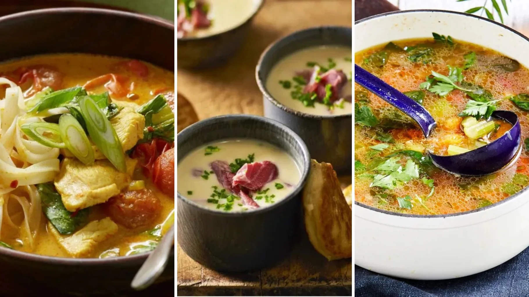 33 Best Soup Recipes | Comforting, Hearty & Multicultural | New Idea