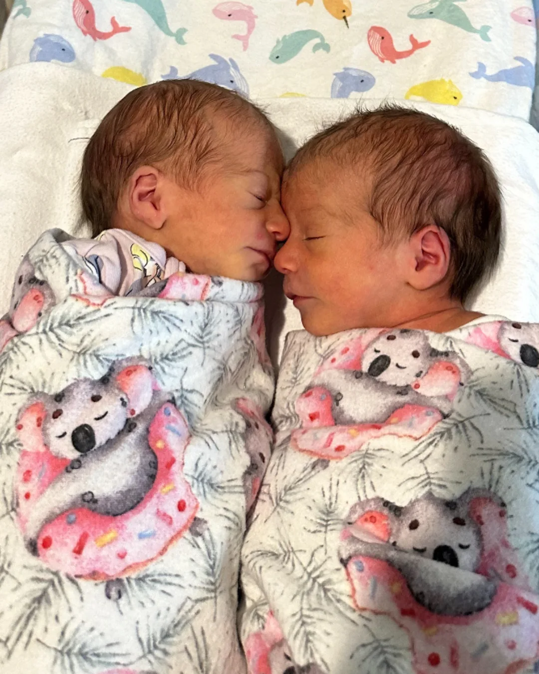 The Wiggles star Caterina Mete gives birth to twin girls | New Idea