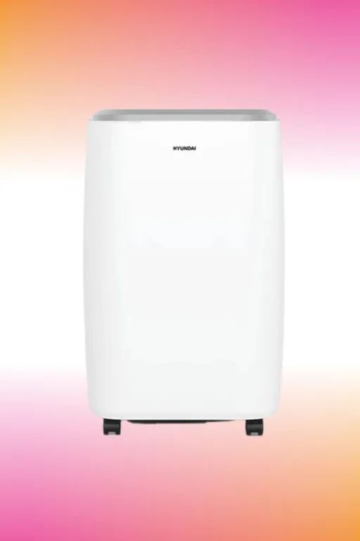 The 7 best portable air conditioners to keep you cool this summer | New ...