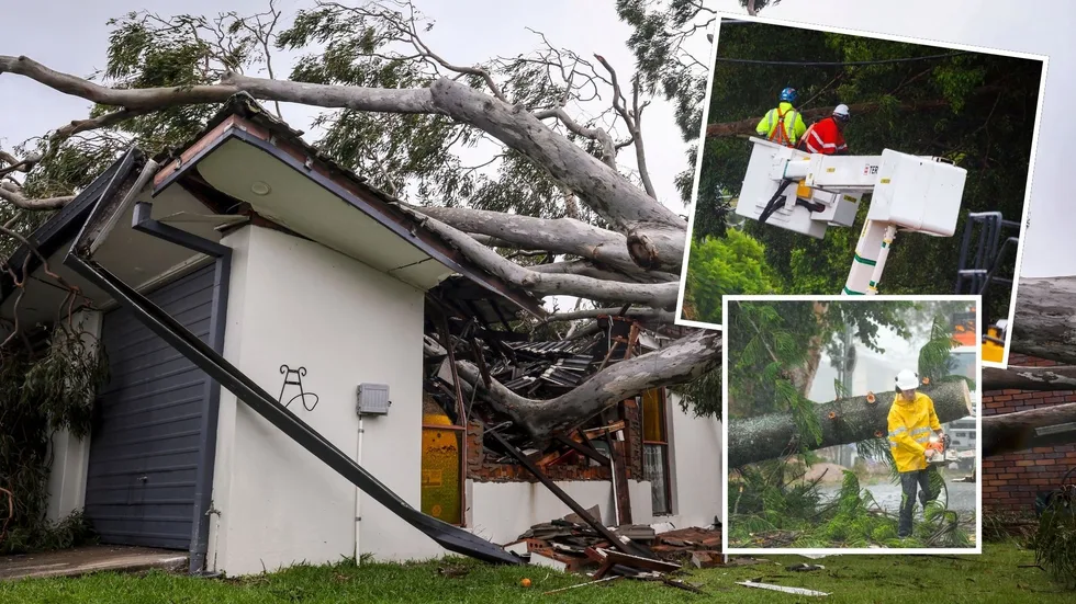 Surviving Cyclone Alfred: "There's a huge job ahead" | New Idea