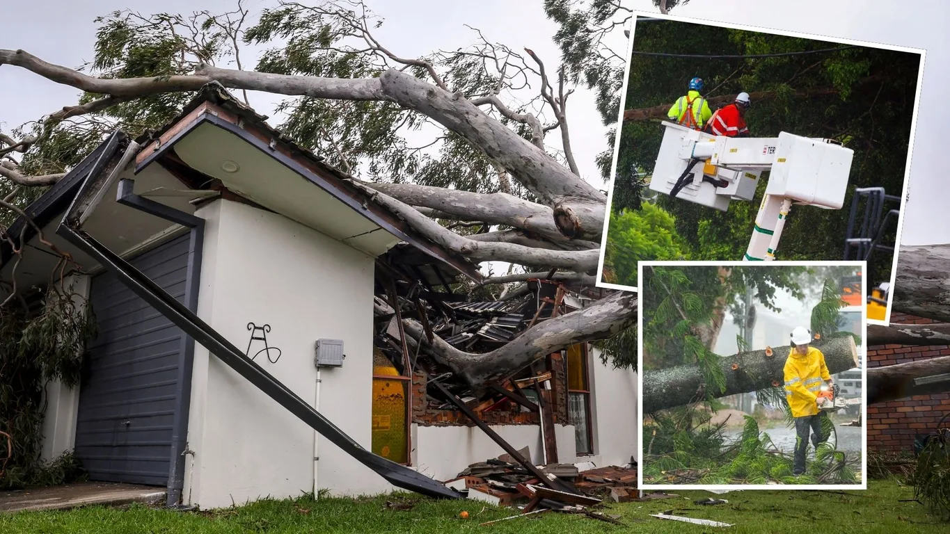 Surviving Cyclone Alfred: "There's a huge job ahead" | New Idea