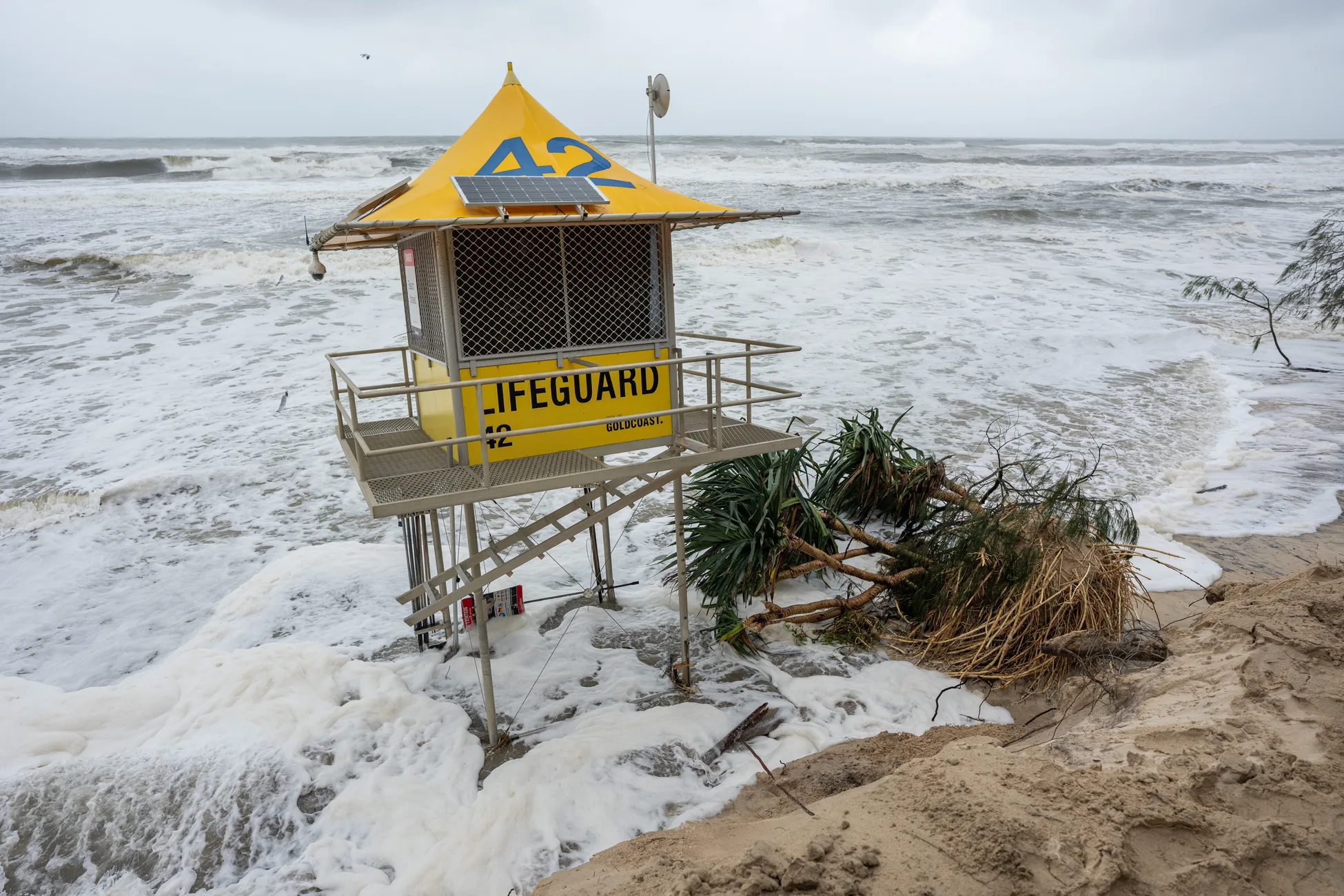 Surviving Cyclone Alfred: "There's a huge job ahead" | New Idea