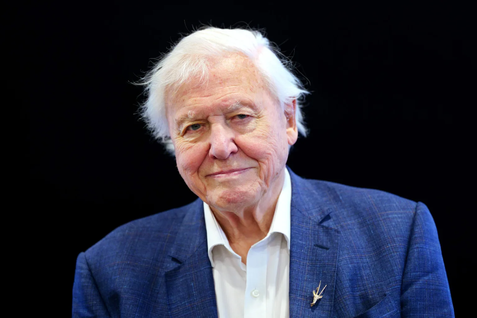 The top 9 David Attenborough documentaries to watch now | New Idea