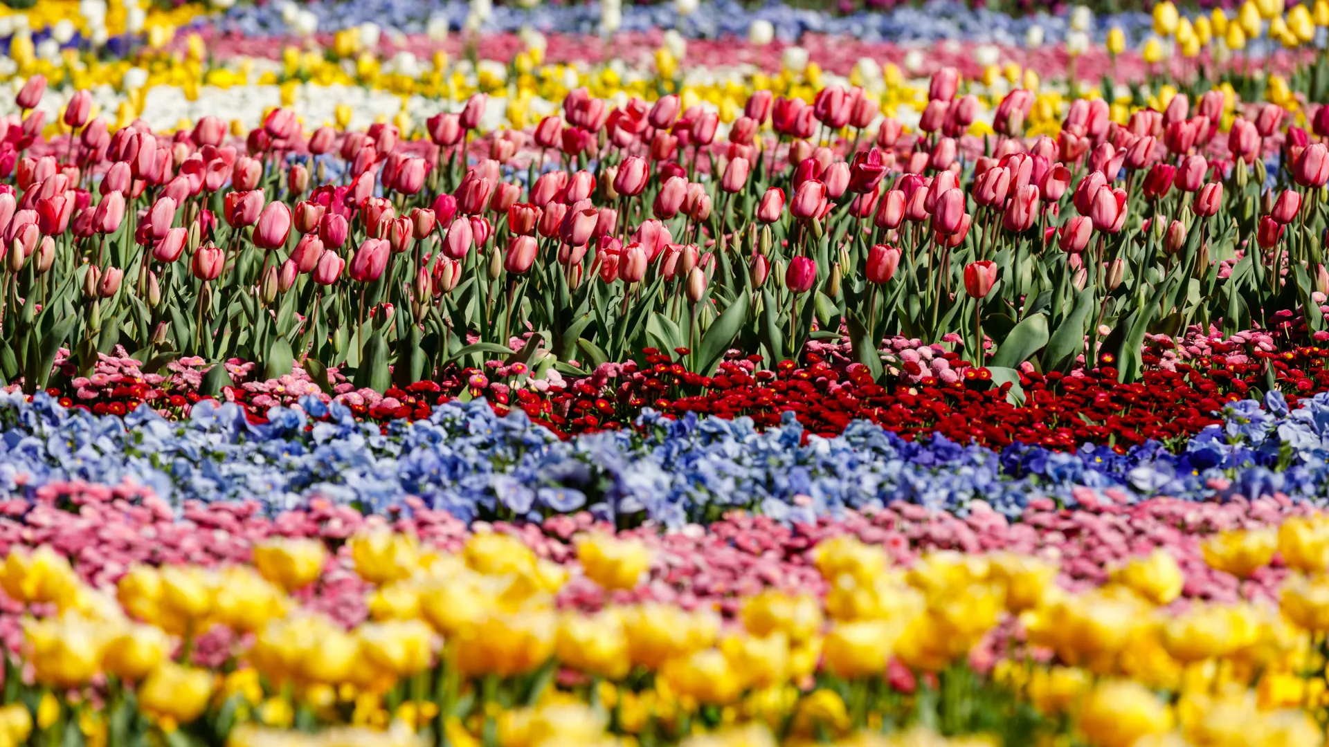 Best places to visit this spring season in Australia in 2025 | New Idea