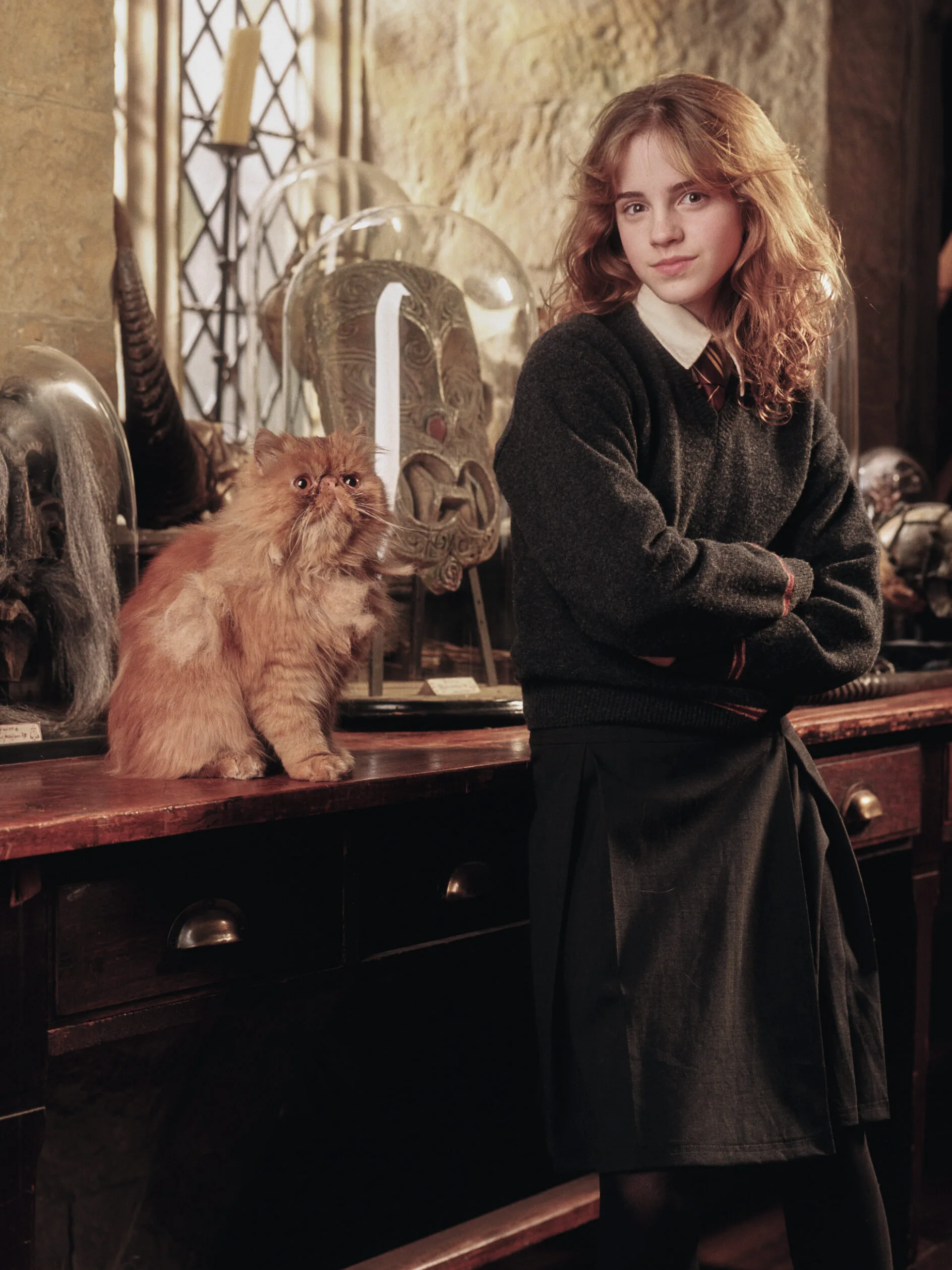 What has Emma Watson been doing since quitting acting? | New Idea