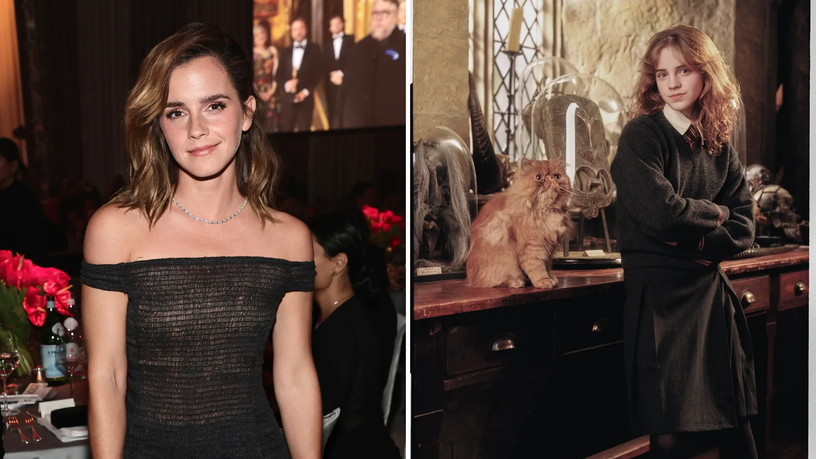 What has Emma Watson been doing since quitting acting? | New Idea