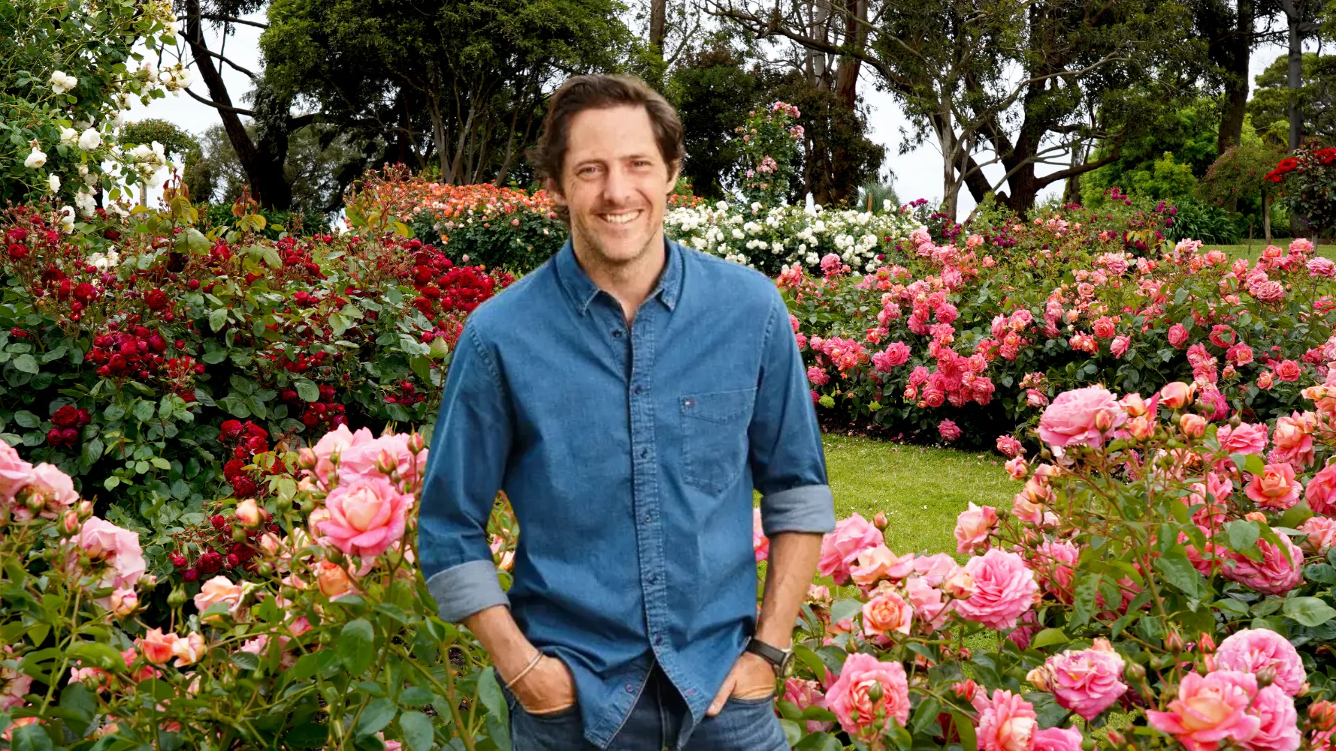 Charlie Albone reveals the secret to a fabulous rose garden | New Idea