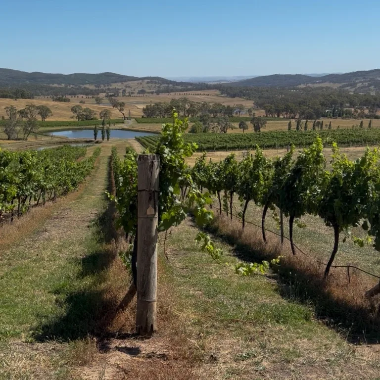 Why you need to add this historic vineyard to your travel bucket list ...