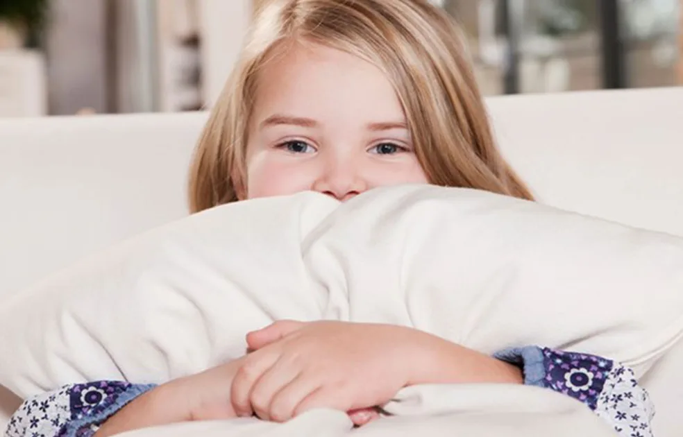 The disgusting reason you MUST get new pillows every 2 years | New Idea