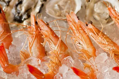 How Long Do Cooked Prawns Last in the Fridge? | New Idea