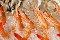 How Long Do Cooked Prawns Last in the Fridge? | New Idea