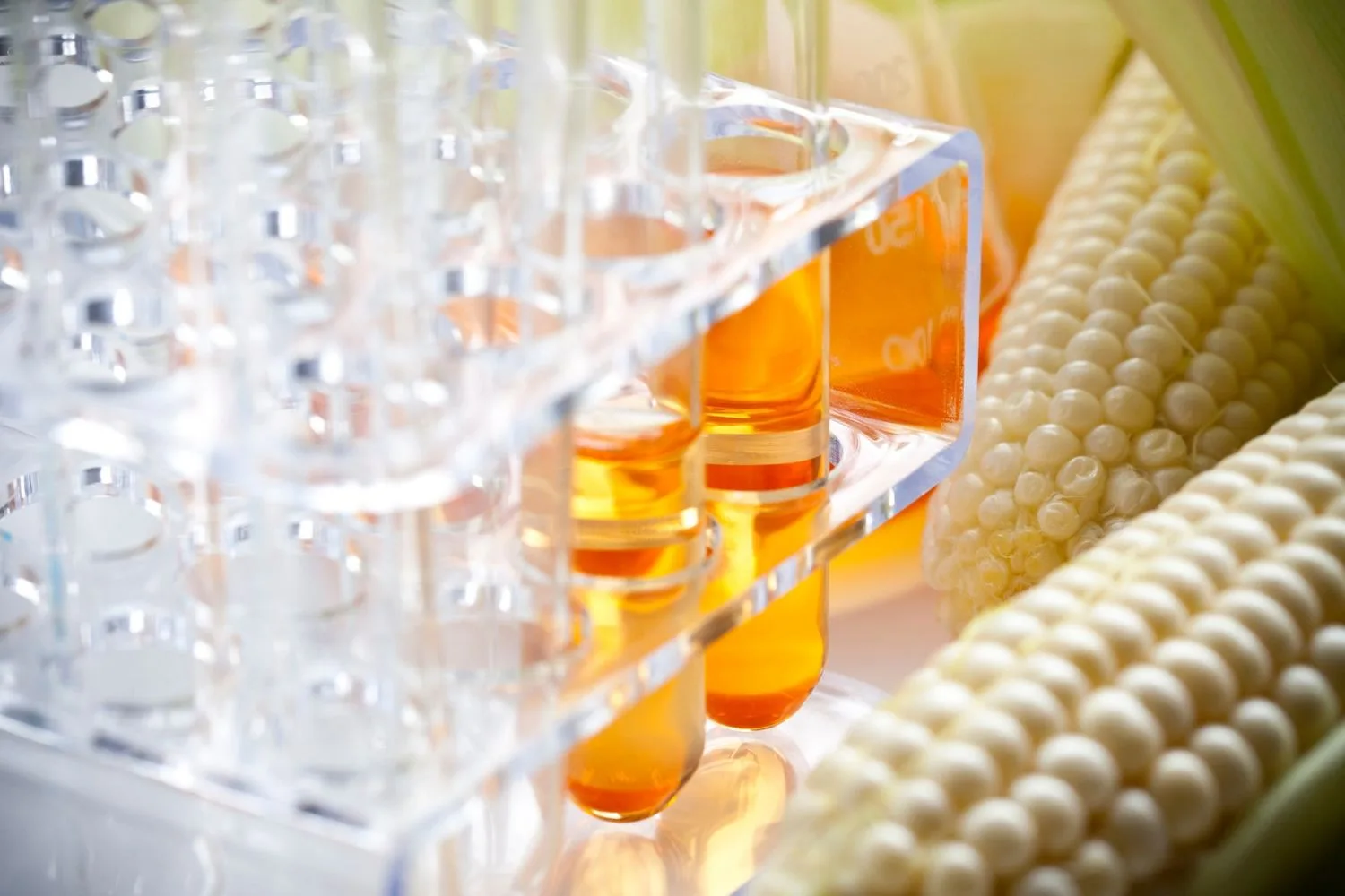 Corn Syrup Australia: Best Alternatives & What is it? | New Idea