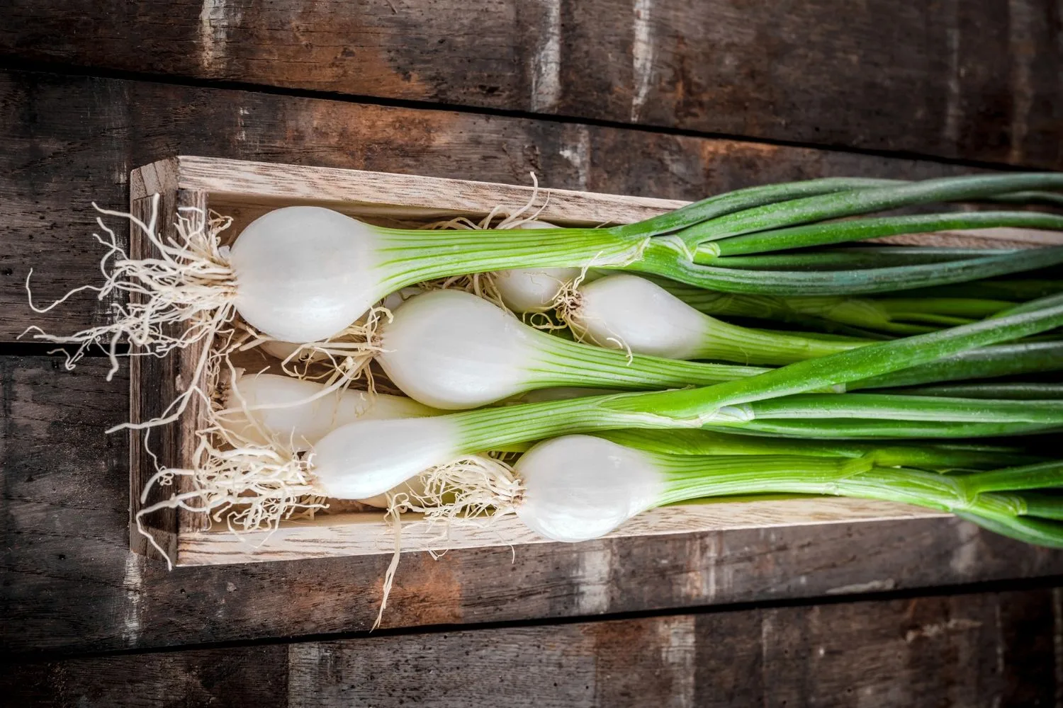 What Are Scallions? Are They Different to Green & Spring Onions? | New Idea