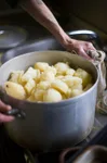 Best Potatoes for Mash: What Spuds Are Best for Mashing? | New Idea