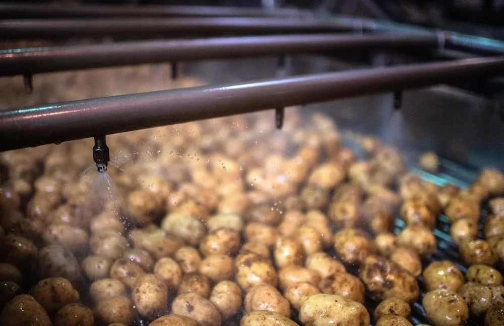 Best Potatoes for Mash: What Spuds Are Best for Mashing? | New Idea