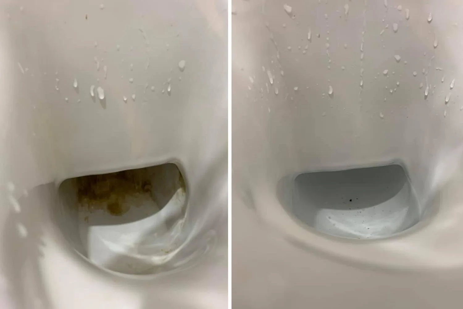 Scalex by Hillmark from Bunnings: the best product to clean your black ...