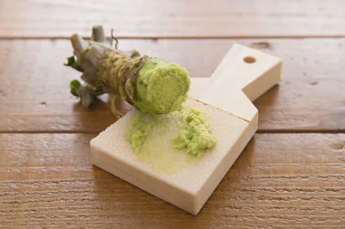 Growing Wasabi: How to Grow Wasabi in Australia | New Idea