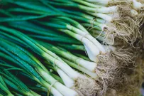 What Are Scallions? Are They Different to Green & Spring Onions? | New Idea