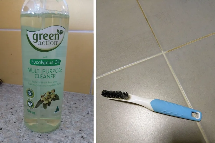 Professional cleaner: The new $2.50 cult Aldi supermarket cleaner you ...
