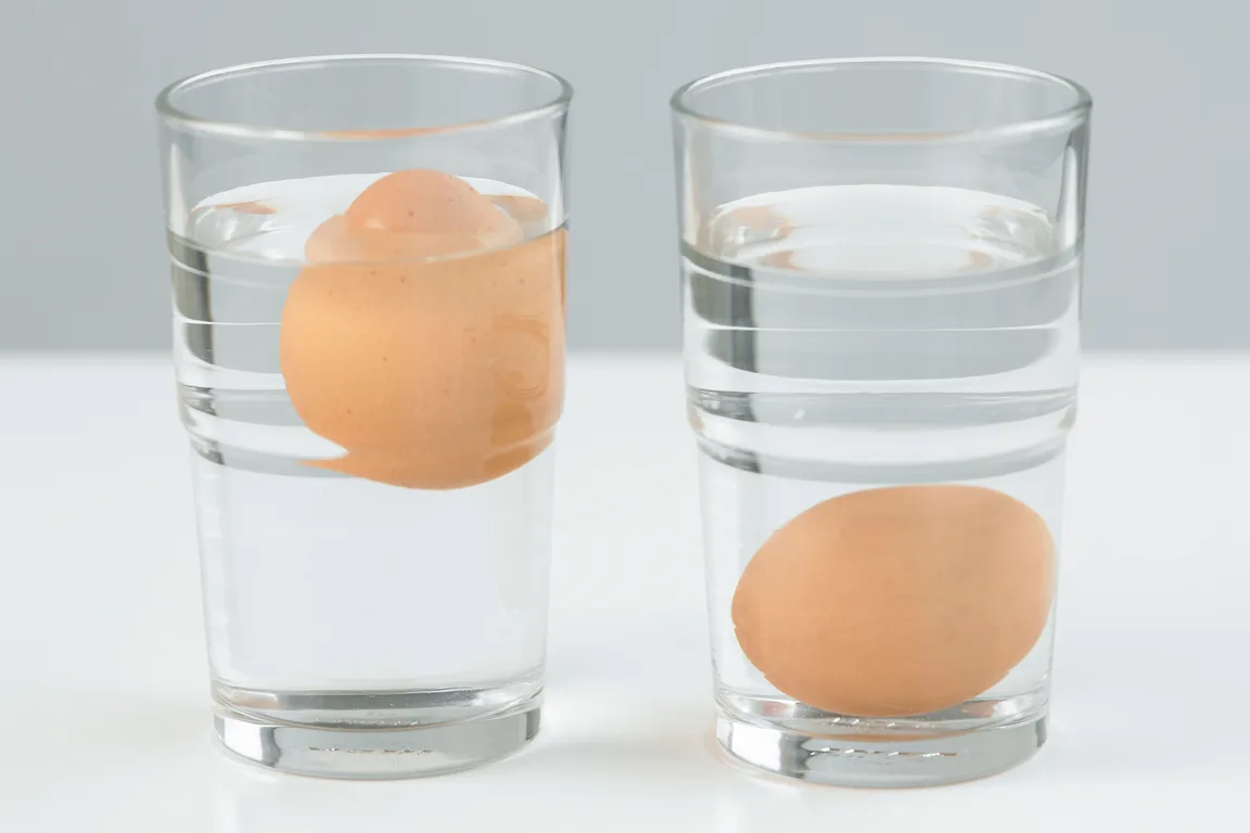 How to tell if eggs are off or fresh? The egg float test | New Idea