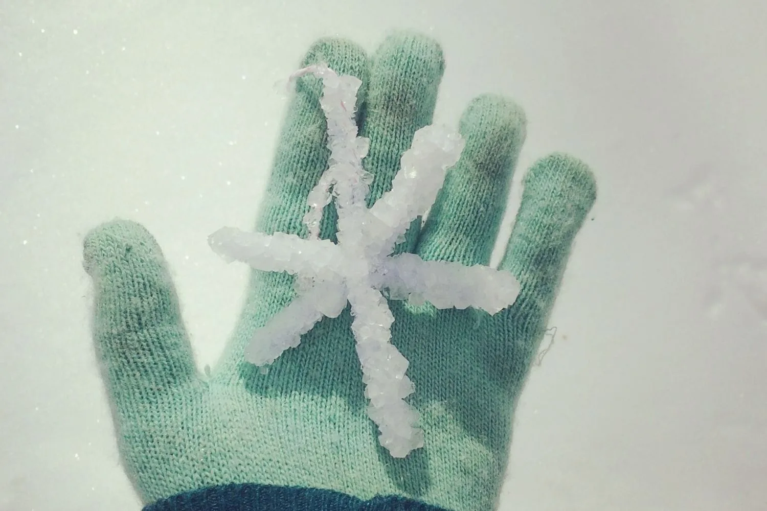 What is Borax: Uses, Ingredients & is it Legal in Australia? | New Idea
