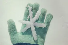 What is Borax: Uses, Ingredients & is it Legal in Australia? | New Idea