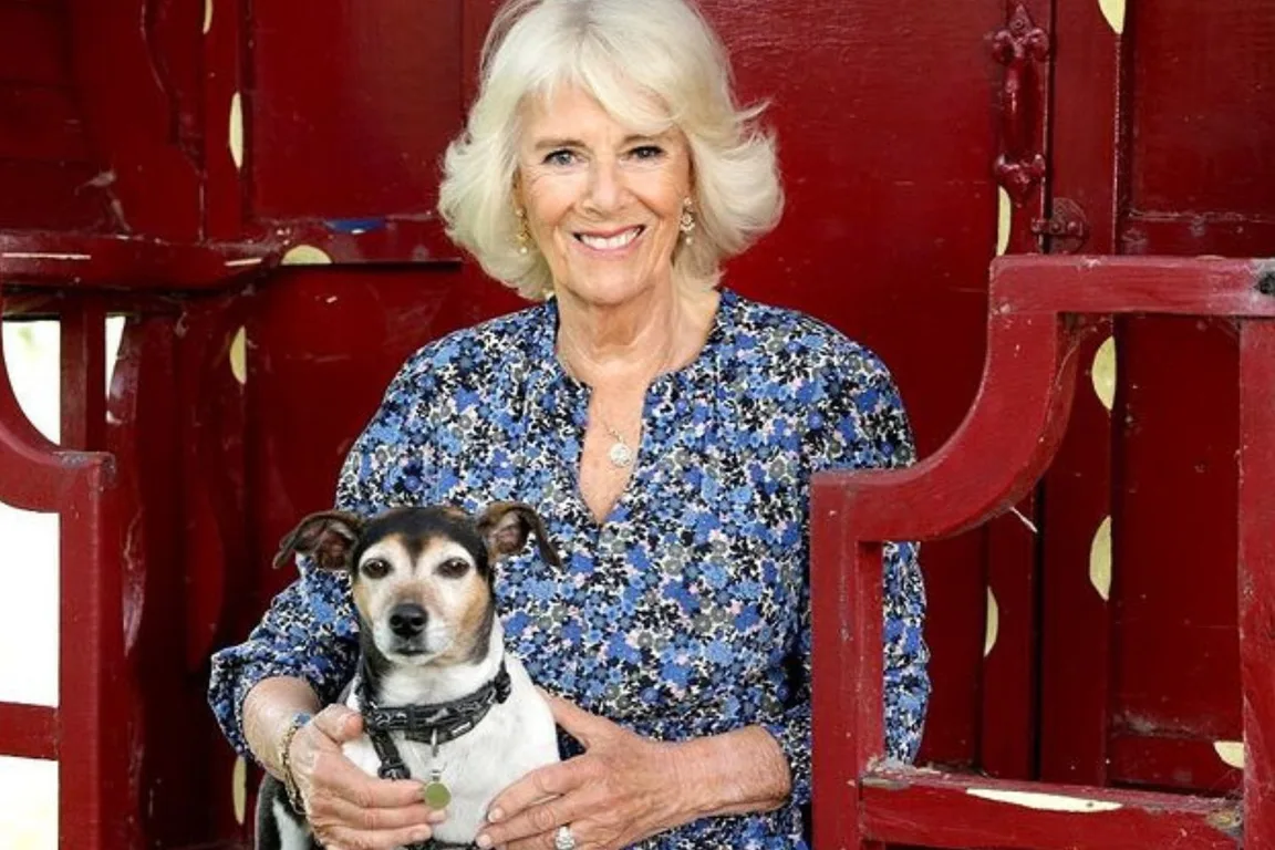 Camilla looks radiant as she celebrates 75th birthday with official ...