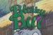 The History of Blinky Bill | New Idea