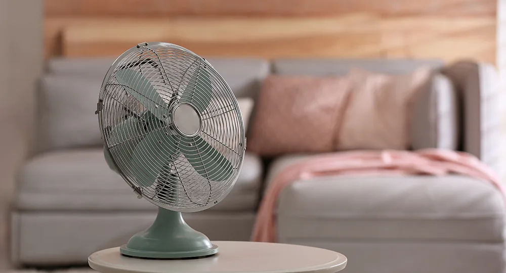 8 Best Cooling Fans To Shop Australia | New Idea