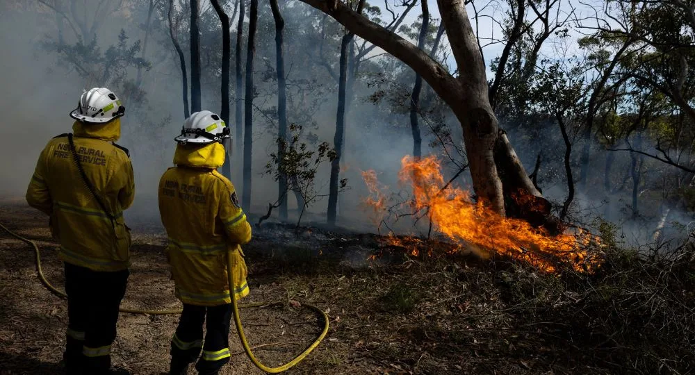 How to prepare for bushfires in Australia | New Idea