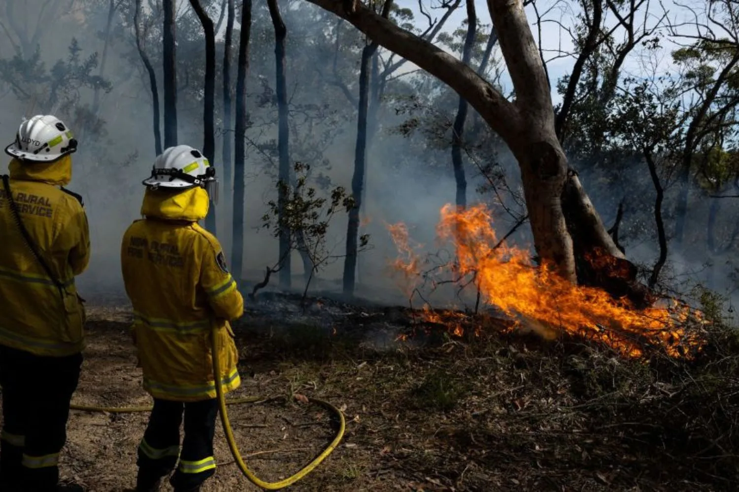 How to prepare for bushfires in Australia | New Idea