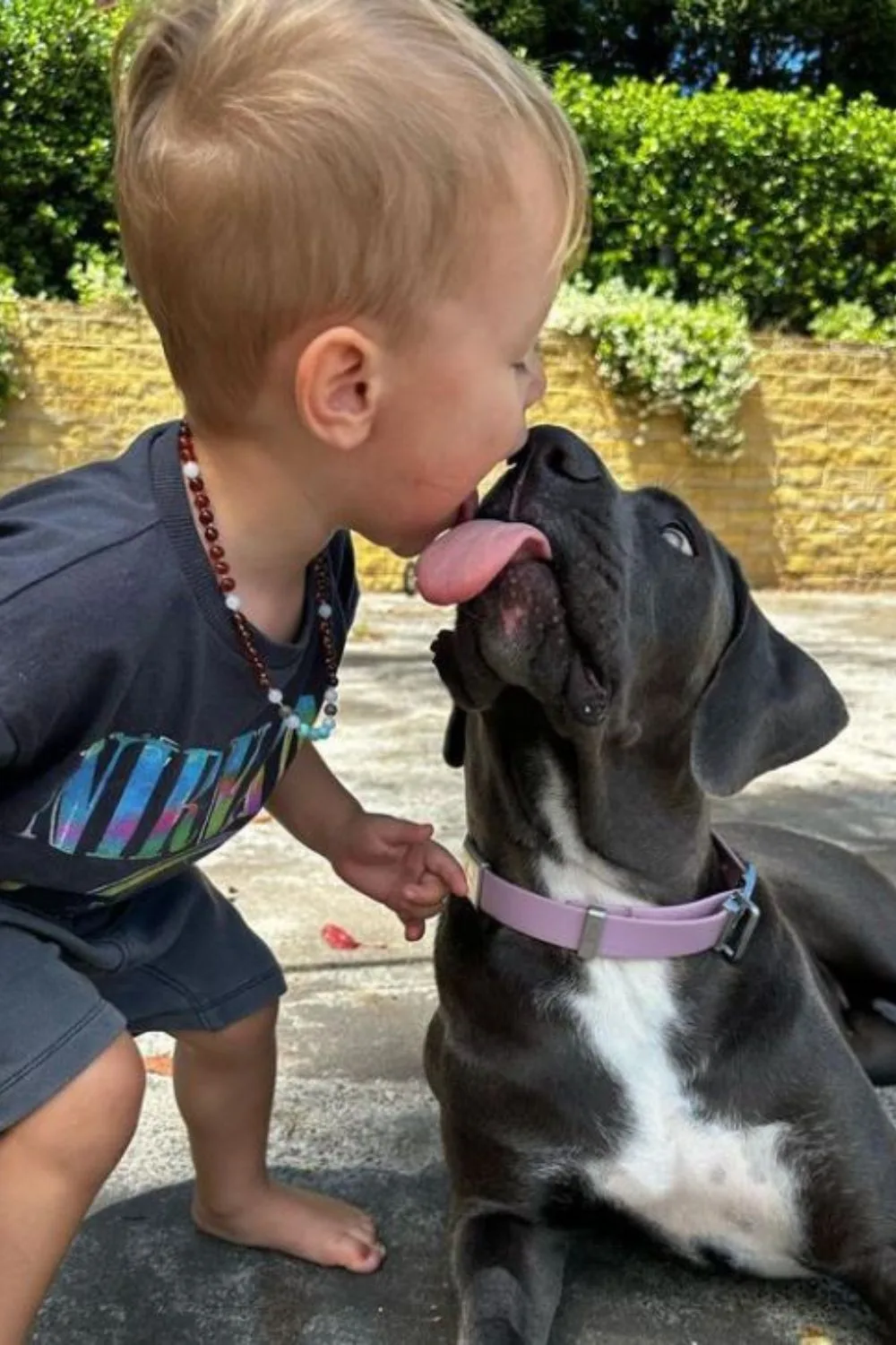 The cutest photos of the Hawkins family | New Idea