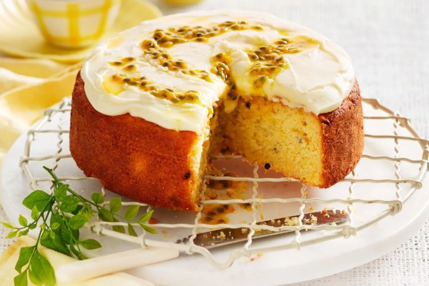 70 of our best cake recipes for all occasions | New Idea