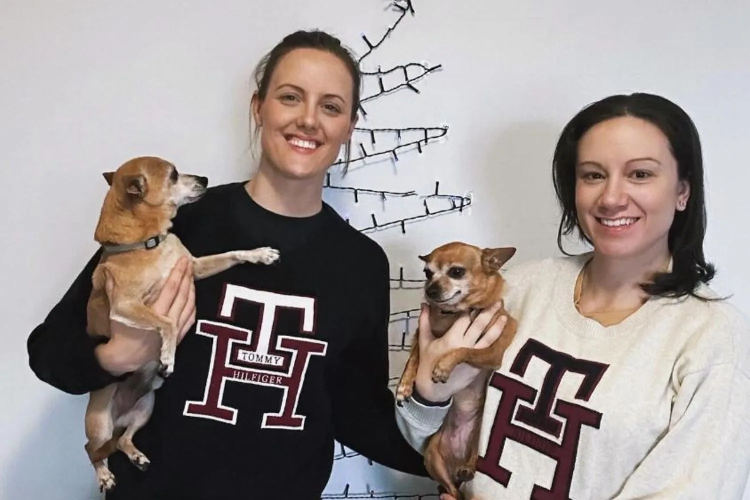 Who is Ellie Cole? Inside the Paralympian's extraordinary life so far ...