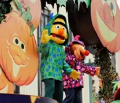 Monobrow - Everything You Need to Know About a Unibrow | New Idea