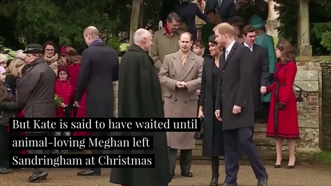 WATCH: Kate Middleton goes shooting after Christmas | New Idea